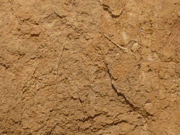 sandy dirt texture 0053 - Texturelib